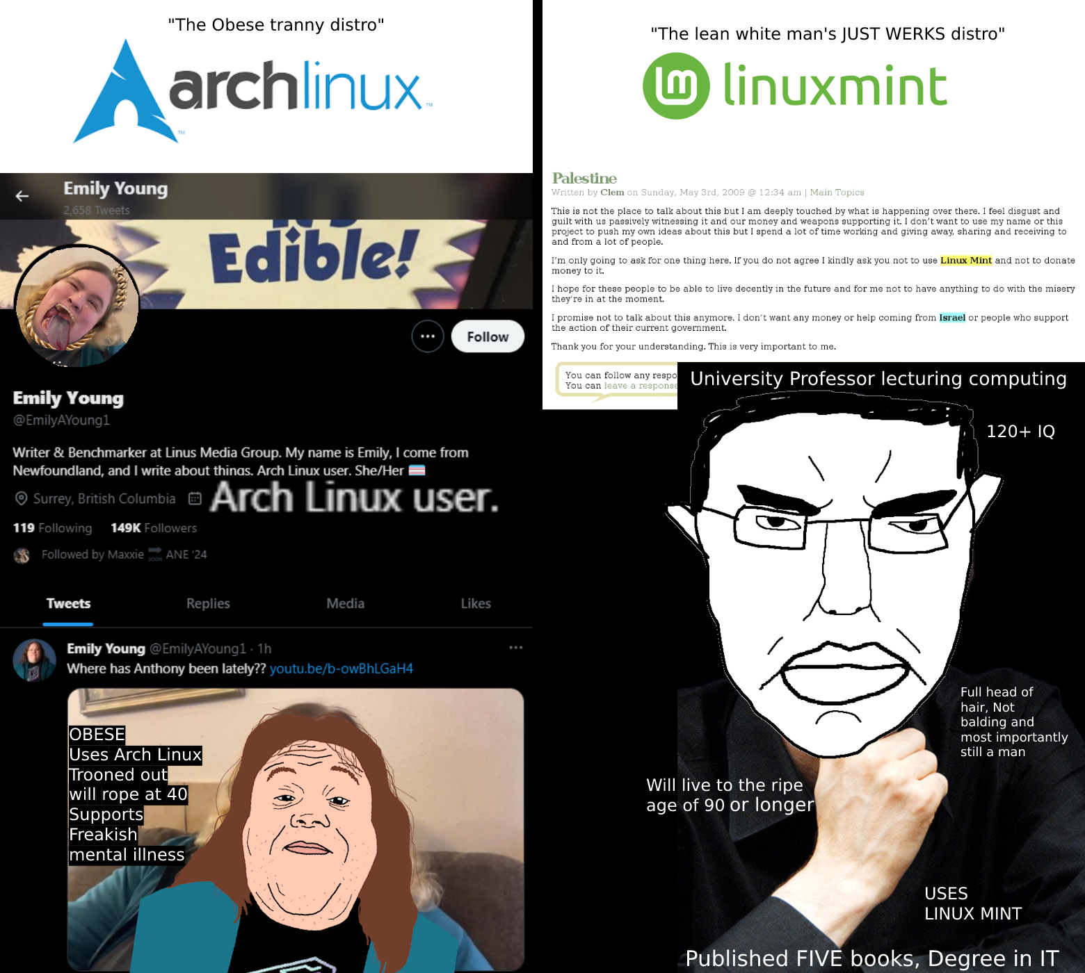SoyBooru - Post 140971: anthony_young arch_linux explaining_computers gaza hair iq israel linus ...